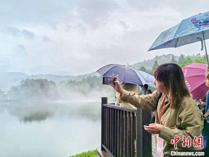 港澳文旅界人士漫步烟雨庐山 品历代文人墨客雅韵